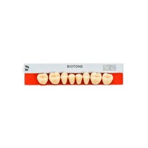 Dente Biotone Posterior 8 dentes Denstply Sirona