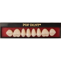 Dente Popdent Posterior Inferior Vipi | Resistência e Ajuste