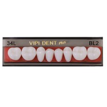 dente Vipi dent Posterior Inferior B - Vipi - Vipi