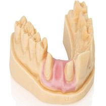 Resina para Impressora 3D Dima Print Gingiva Mask 1Kg - Kulzer na ...