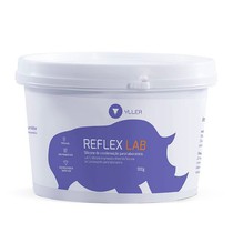 Reflex Lab Denso Yller 900g Silicone para Laboratório